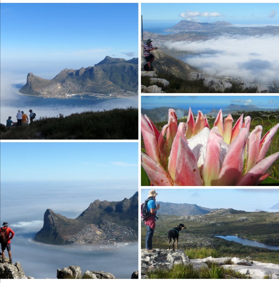 Easy Travel & Tours 🚙🐘🥾🥘🍷🇿🇦 🇳🇦 🇧🇼 🇿🇼 : Silvermine Panorama/ Skyline Route