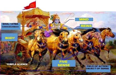 Temple Science: Secret of Consciousness, Mind and Body