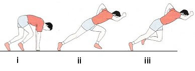 Intro to Animation: Reference gathering