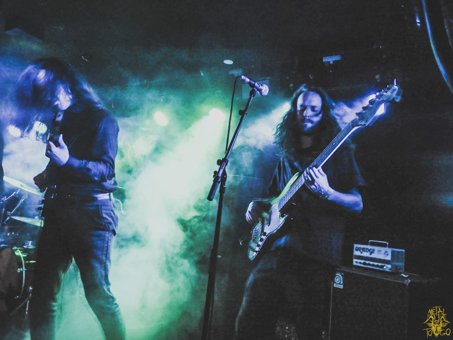 Feather Mountain: Nidus (Album review)