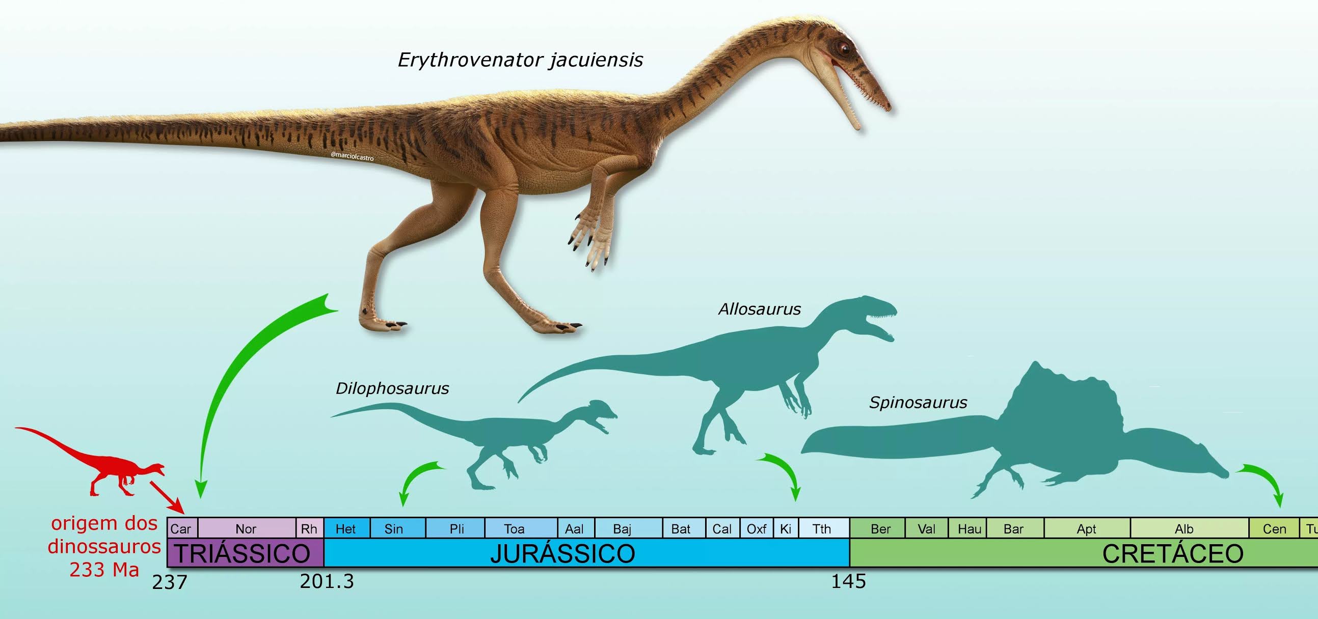 Species New to Science: [Paleontology • 2020] Erythrovenator jacuiensis ...