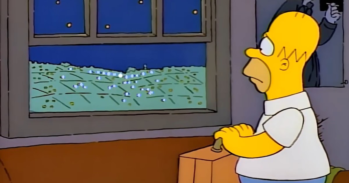 The Spirochaete Trail: Homer's Night Out (aka An Aperture Monograph)