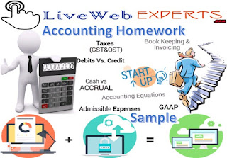 Accounting Homework Help