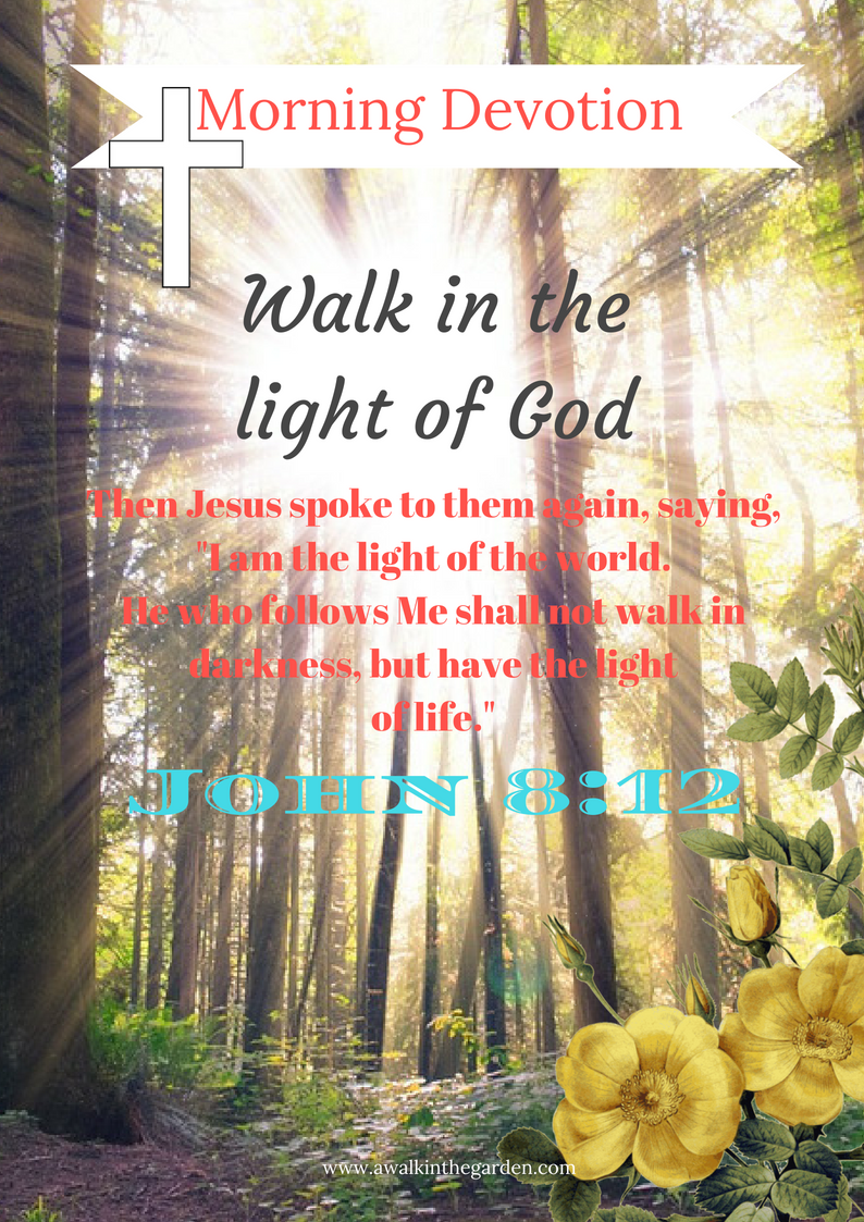 A Walk In The Garden: Morning Devotion: Walk in the Light of God