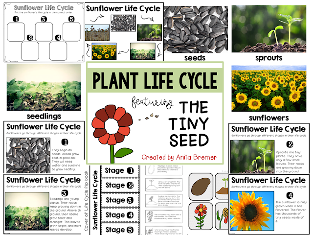 Favorite Spring Books for Kids | Mrs. Bremer's Class