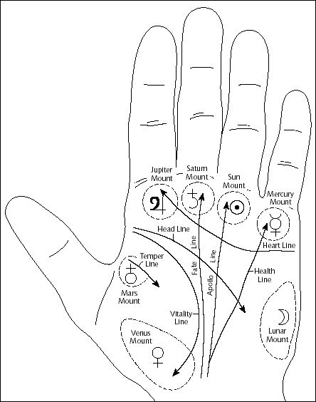 Mounts found on palm in palmistry ~ PalmFate