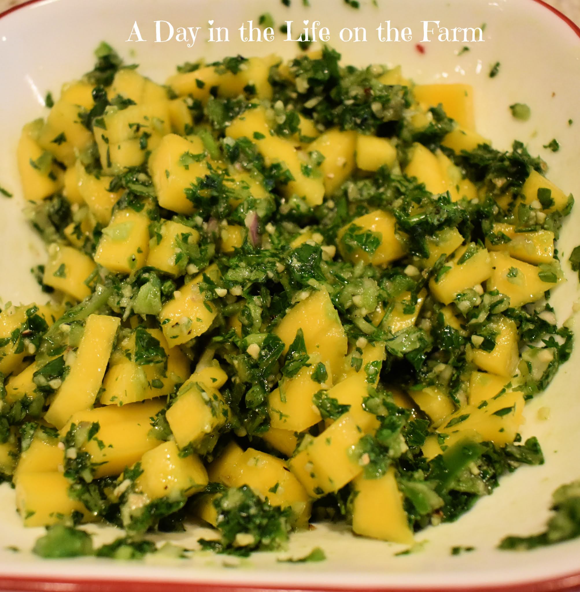 A Day in the Life on the Farm: Grilled Steaks with Mango Chimichurri # ...