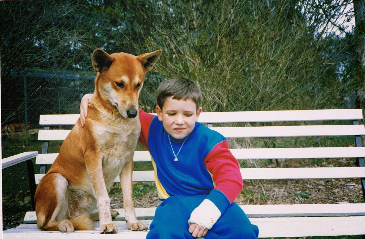 Dingo Lady: A Little Picture Story by Berenice Walters