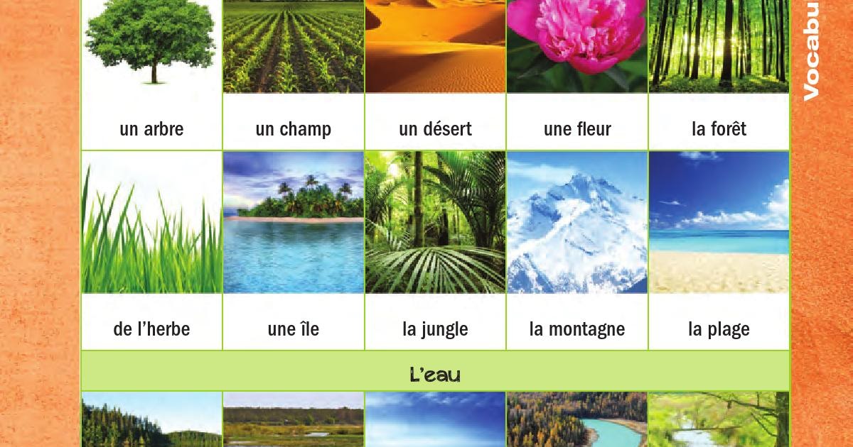 Vocabulaire - La nature : la terre, l'eau et l'air - Francais 1am