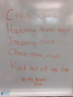 Hughes Chickens: Chick Poems by First Grade