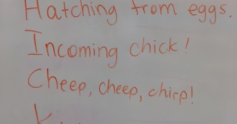 Hughes Chickens: Chick Poems by First Grade