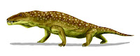 Palaeocritti Blog: Anteosaurus magnificus