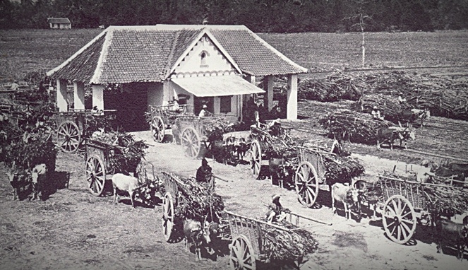 Kisah Bencana Kelaparan di Jawa, Zaman Penjajahan Belanda dan Jepang ...