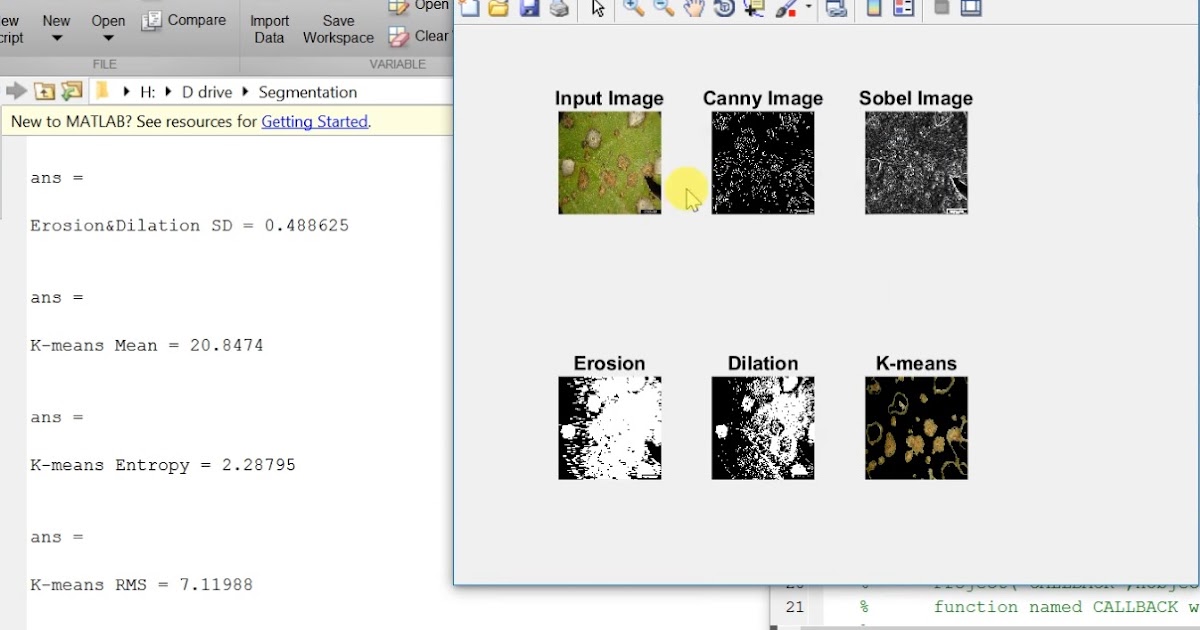 Image Segmentation Using Kmeans Clustering Algorithm Matlab Project ...