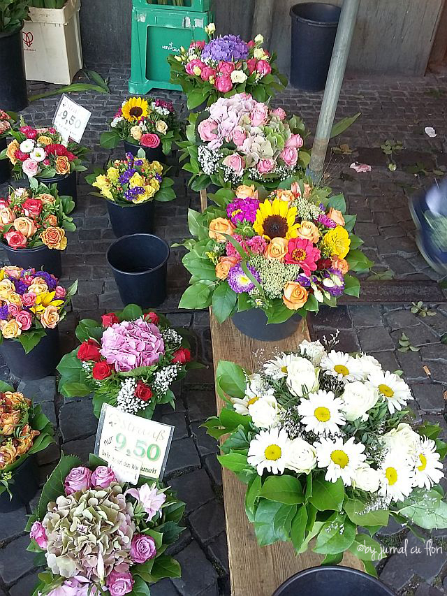 Jurnal cu flori: Flori de august