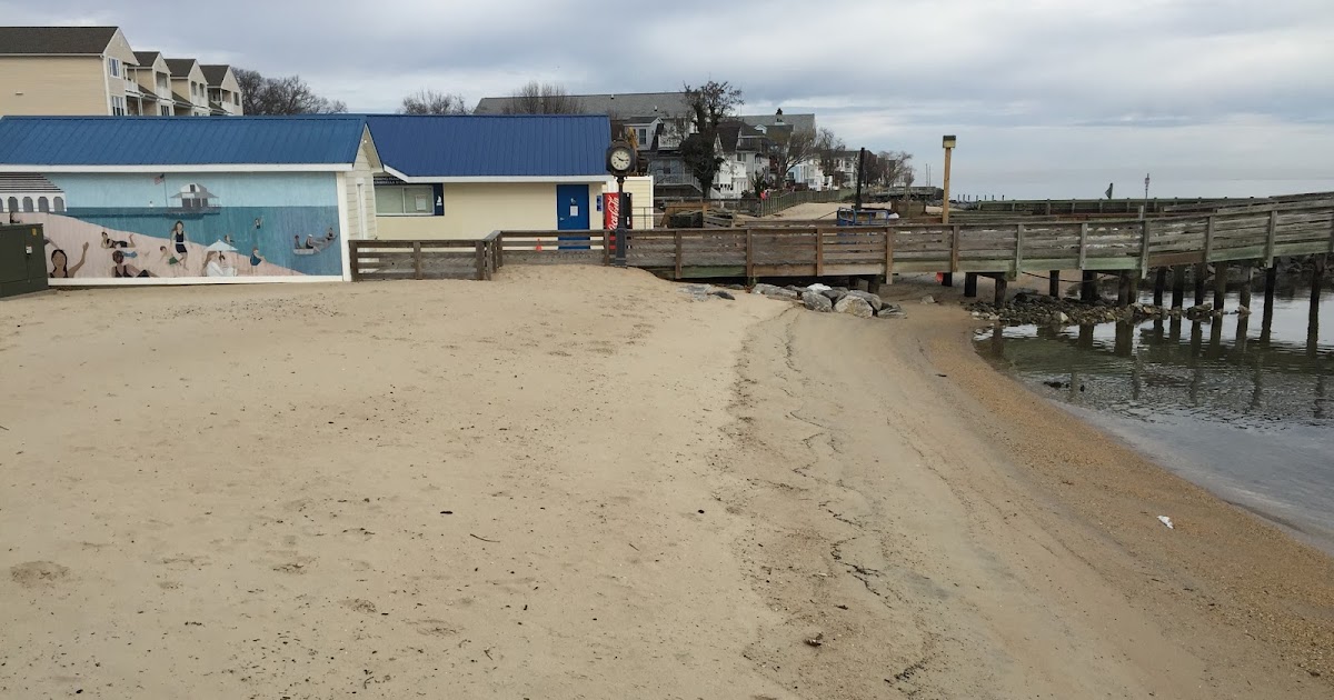 Every House Has a Story: History of Bay Ridge