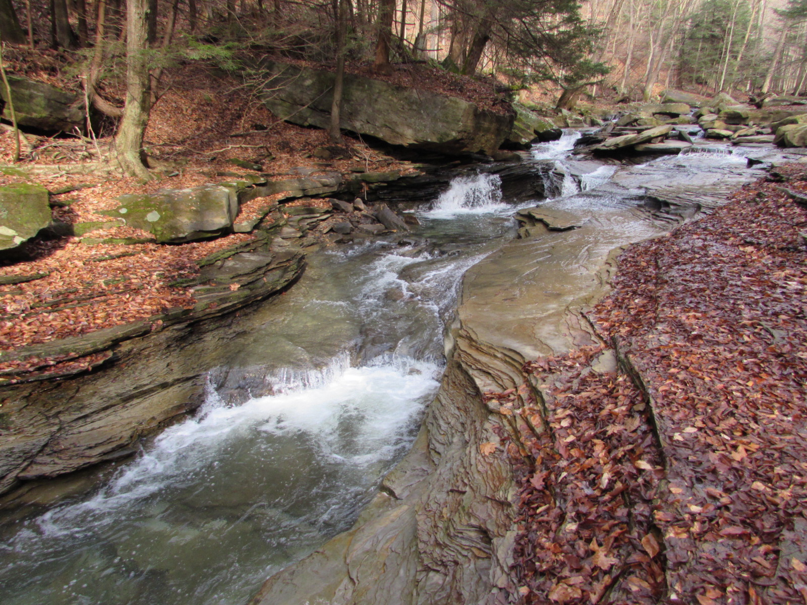 Roaring Run Natural Area, Apollo, PA | Interesting Pennsylvania and Beyond