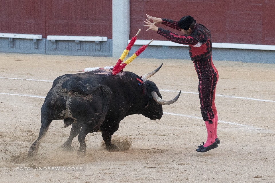 Toro, Torero y Afición: Miguel Martín
