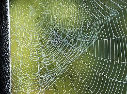 A Perfect Shine Cleaning Services: Cobwebs, Cleaning, Advertising and ...