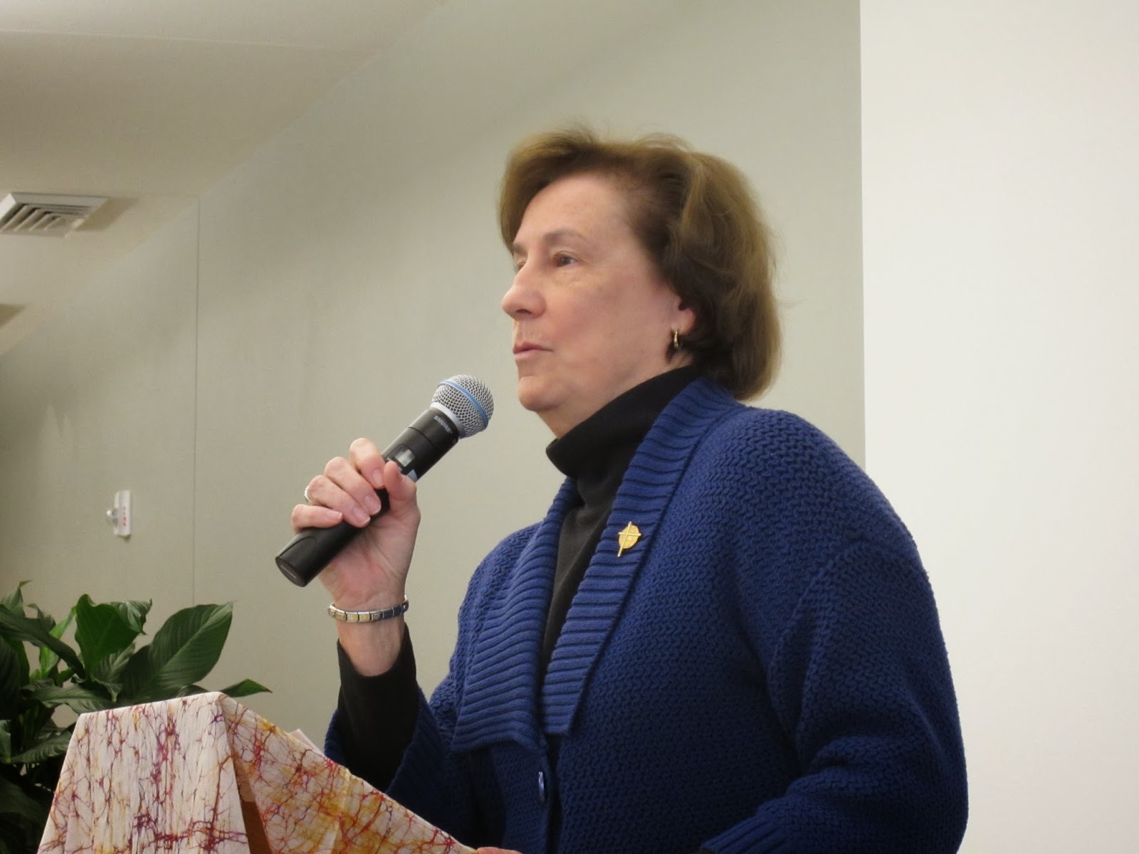 US Federation of the Sisters of St. Joseph: Leadership Development ...