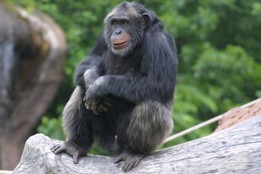 Deutsch mit Spaß: Klasse 2