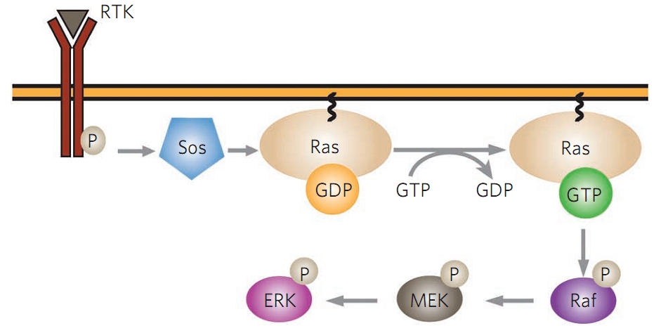 Recent Publications in Chemical Biology and Biomolecular Engineering ...