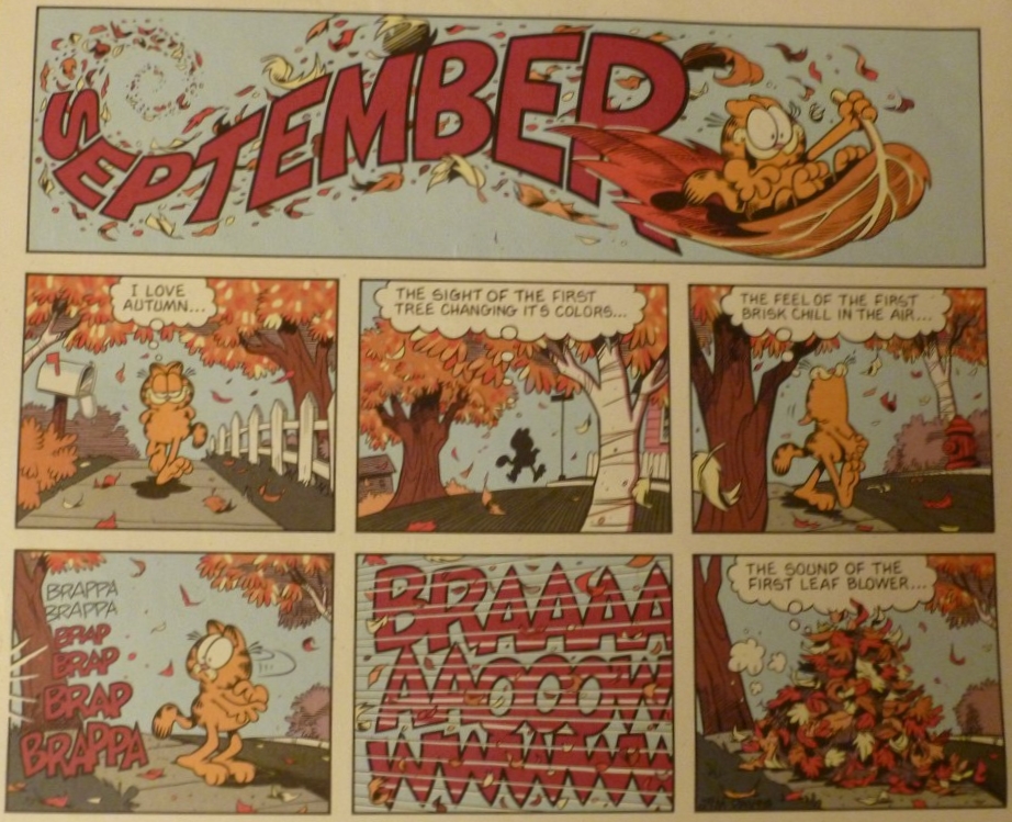 Sunday Comics Debt: September 2013
