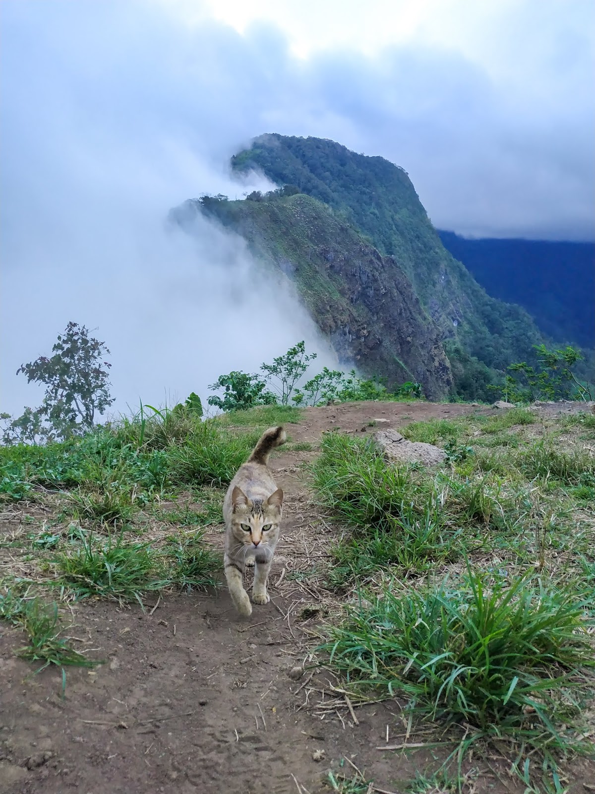 TravelBudDear: LaagErrah: Mt Loay
