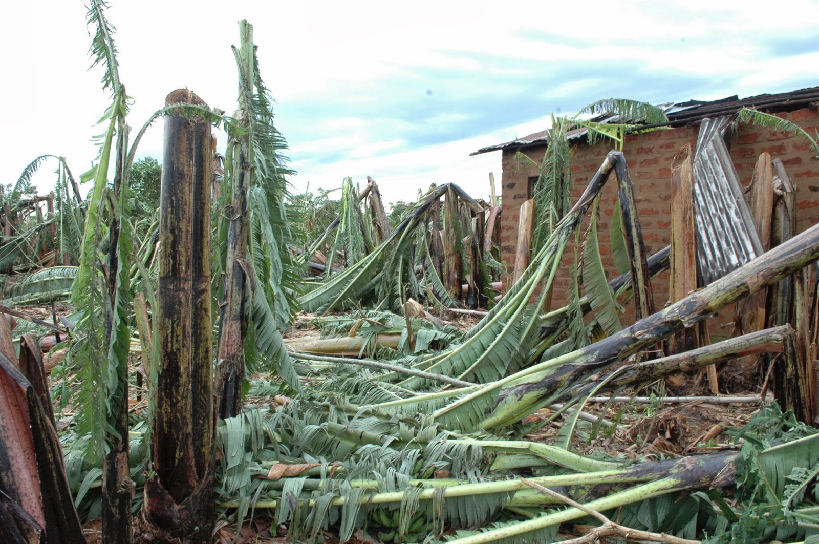 MATUNGWA MB STUDIO BLOG: March 2014