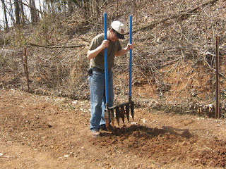 Gardening and beyond... with WayCoolTools.com: Planting potatos and ...