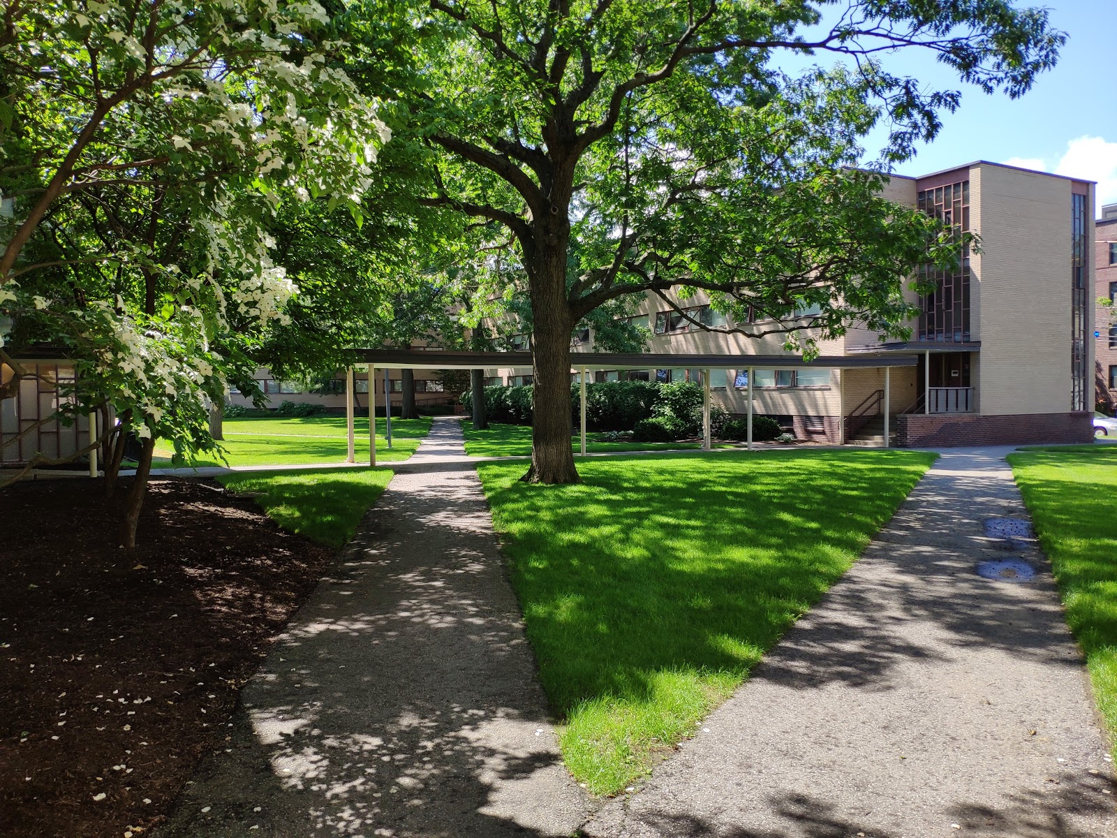 EntreVoir: Harvard Graduate Center - Walter Gropius