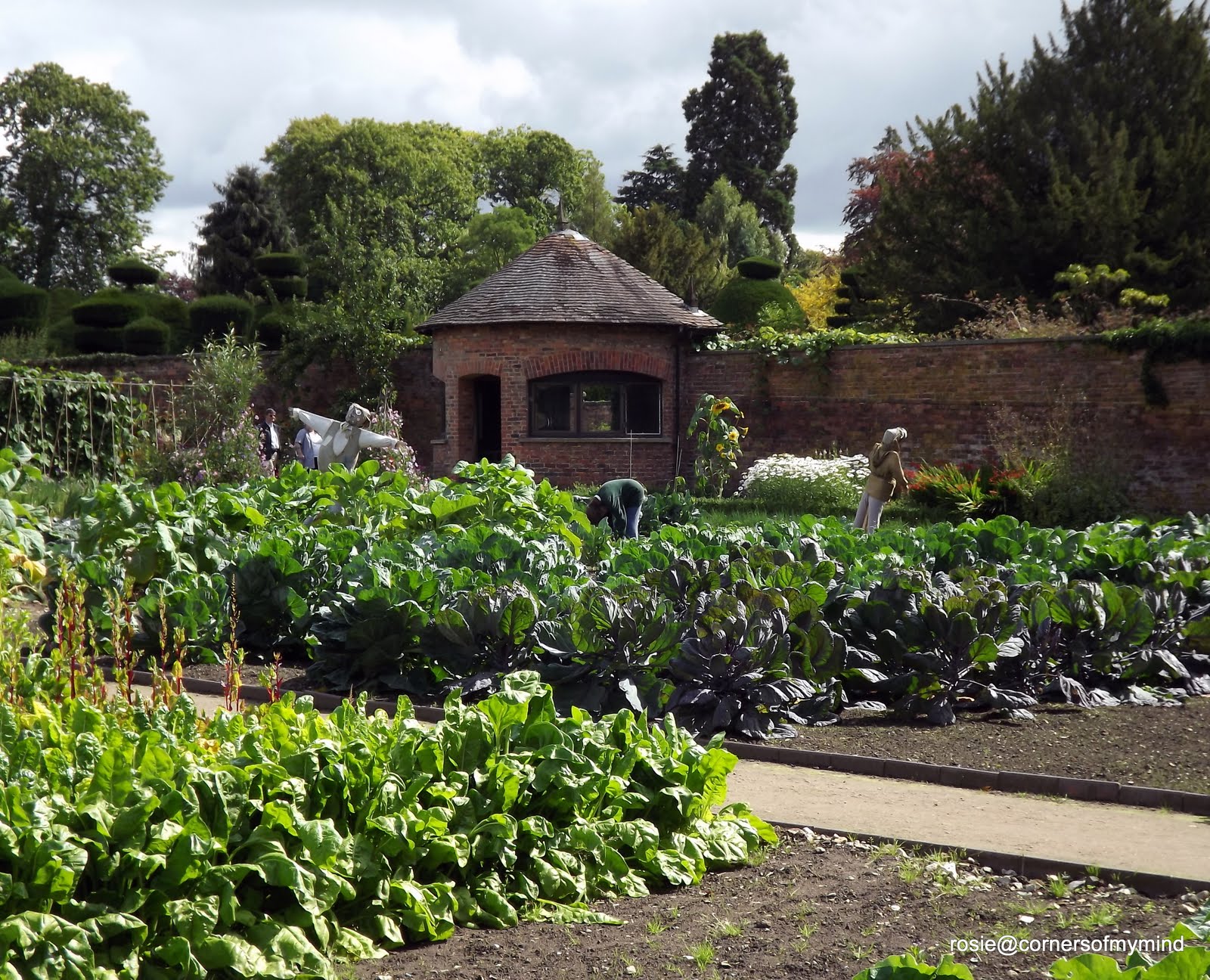 Corners of my Mind: A visit to Tatton Park
