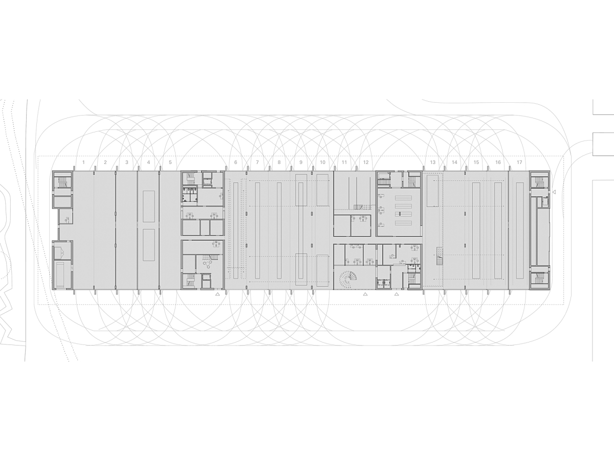 em2n – a f a s i a