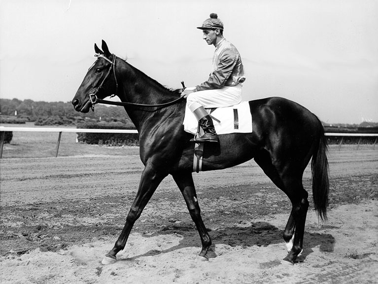 Thoroughbred Heritage ~ We Are Flying Solo