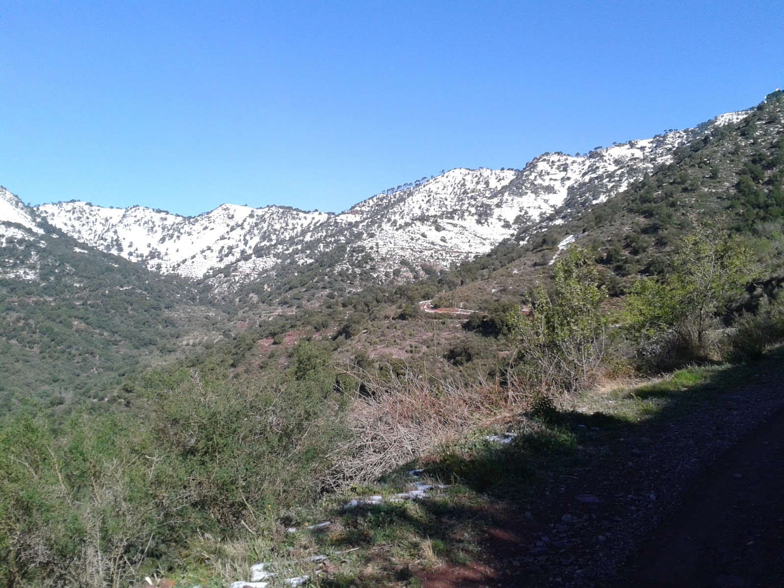 Burriana Trail Team: Trail Running con nieve en Chovar