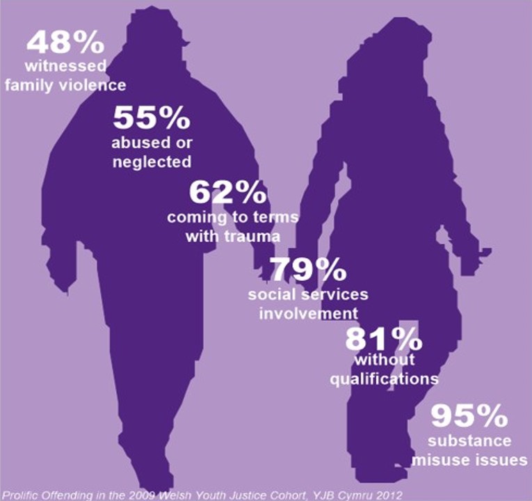 Dusty Kennedy: Trauma-Informed Youth Justice Part 1: Evidence, Analysis ...