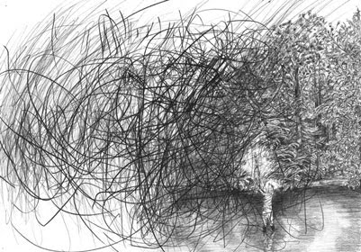 Art 020: Susan Turcot