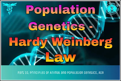 Population Genetics - Hardy Weinberg Law.