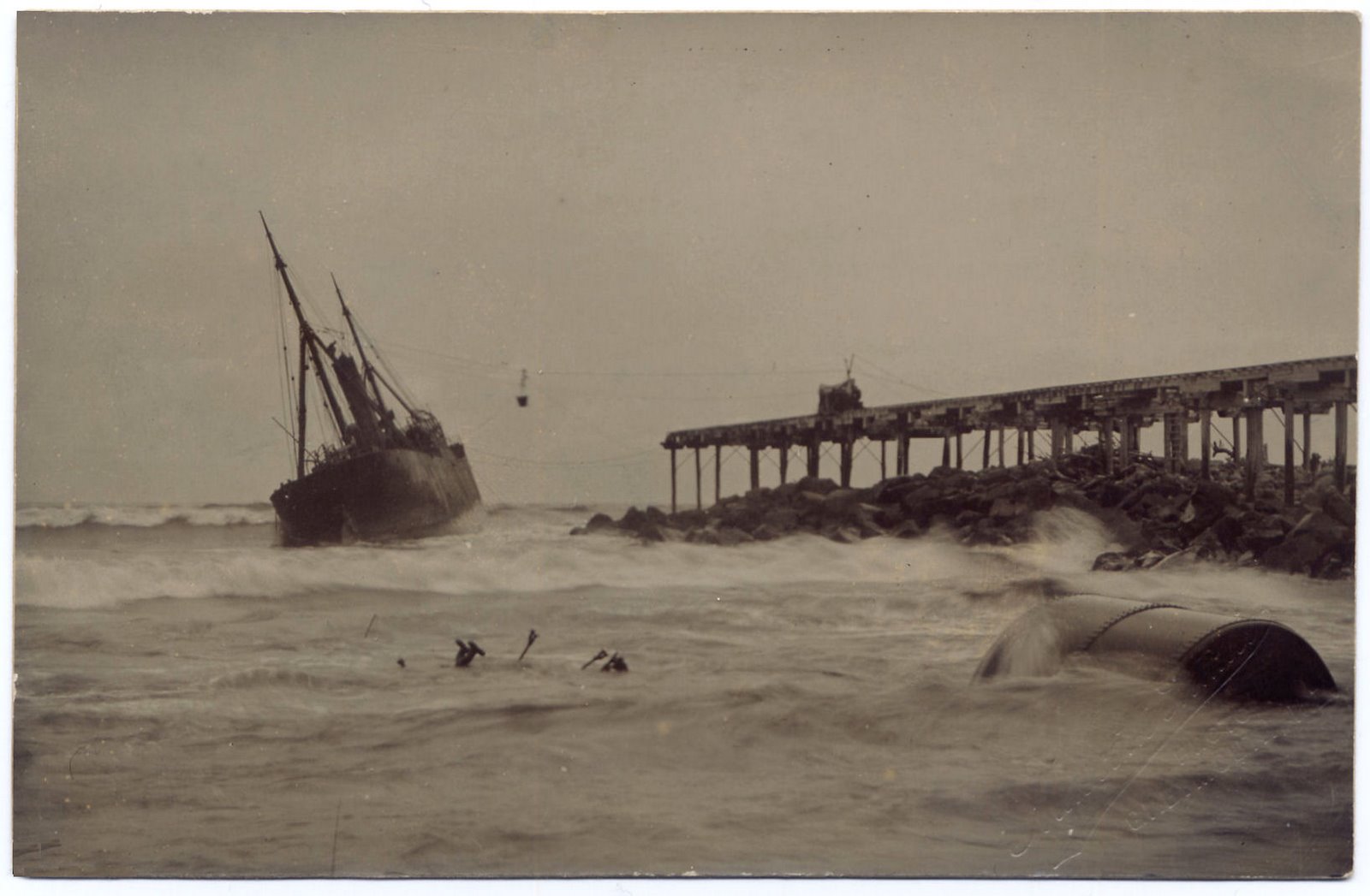 Early New Zealand Photographers: Mascotte Photographic Studio