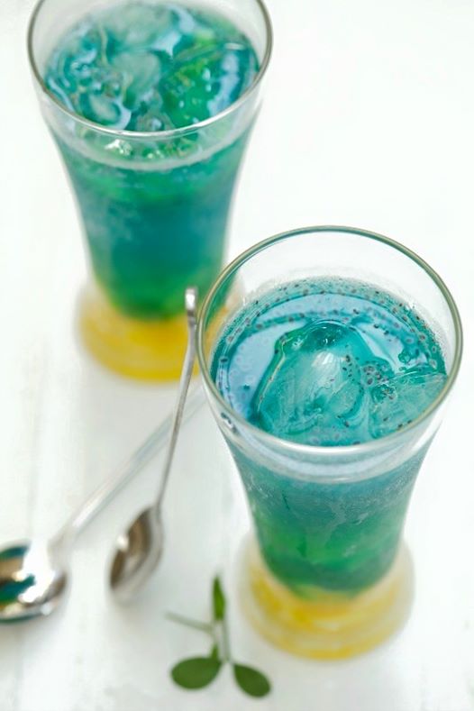 Senarai Koleksi 17 Resepi Air Sedap Untuk Berbuka Puasa