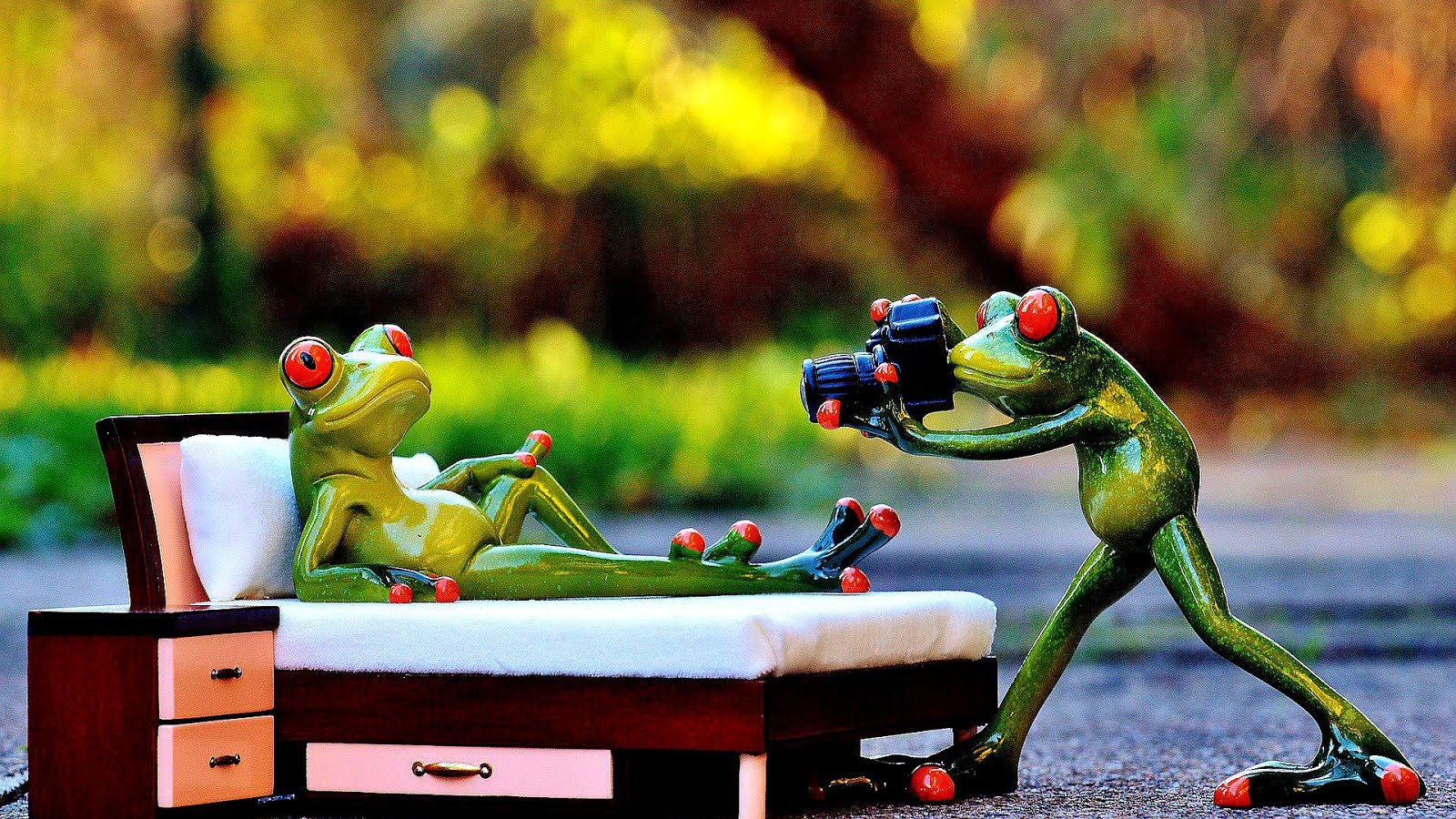 Professional Photographers of America - Photo Choices