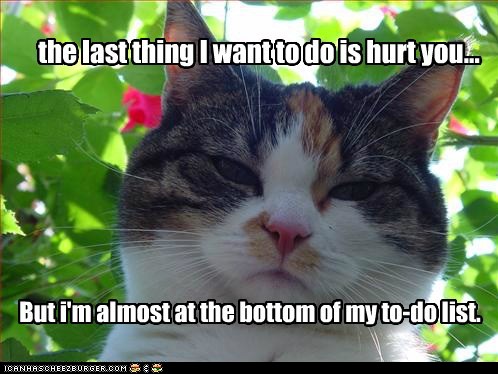 Meta Watershed: LOLCATS WEEKLY ROUND-UP FOR 31 JULY 2012