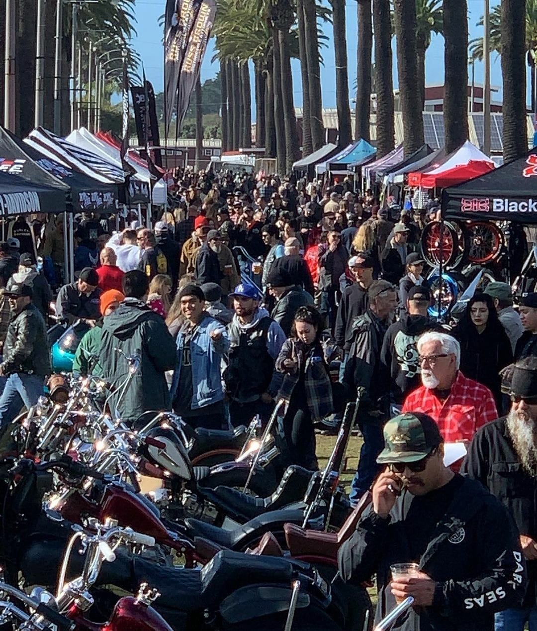 Chopper Fest