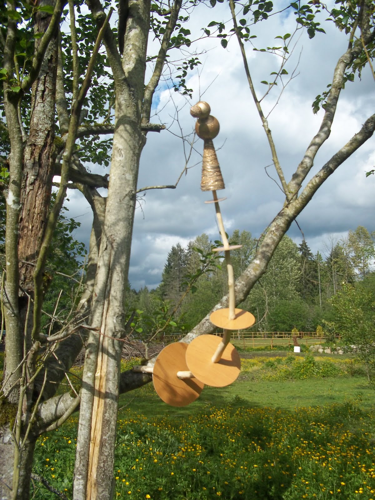 SBANO-TCXG240: “Cyborg Tree”