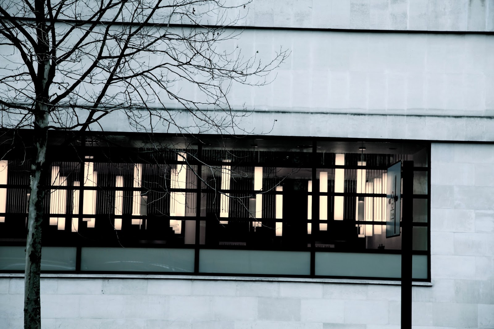 ArtHouse: The Flaneur Series