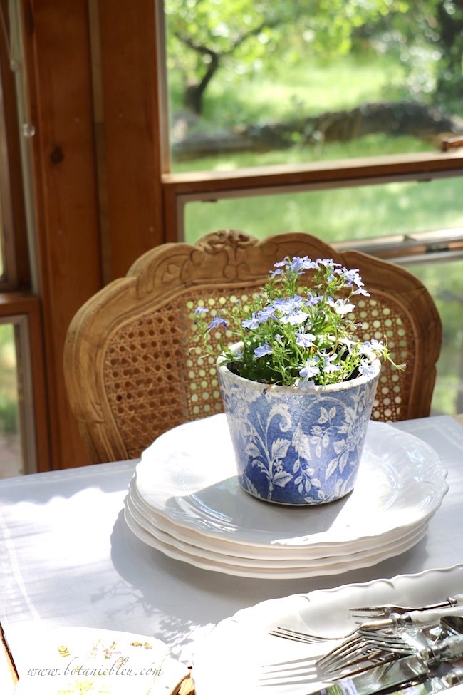Botanic Bleu: French Country Everyday Table Setting