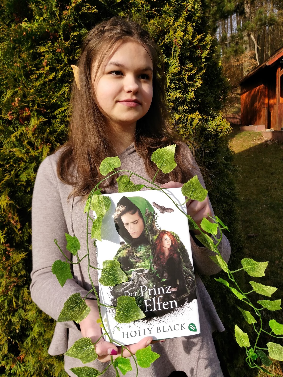 Der Prinz der Elfen - Holly Black