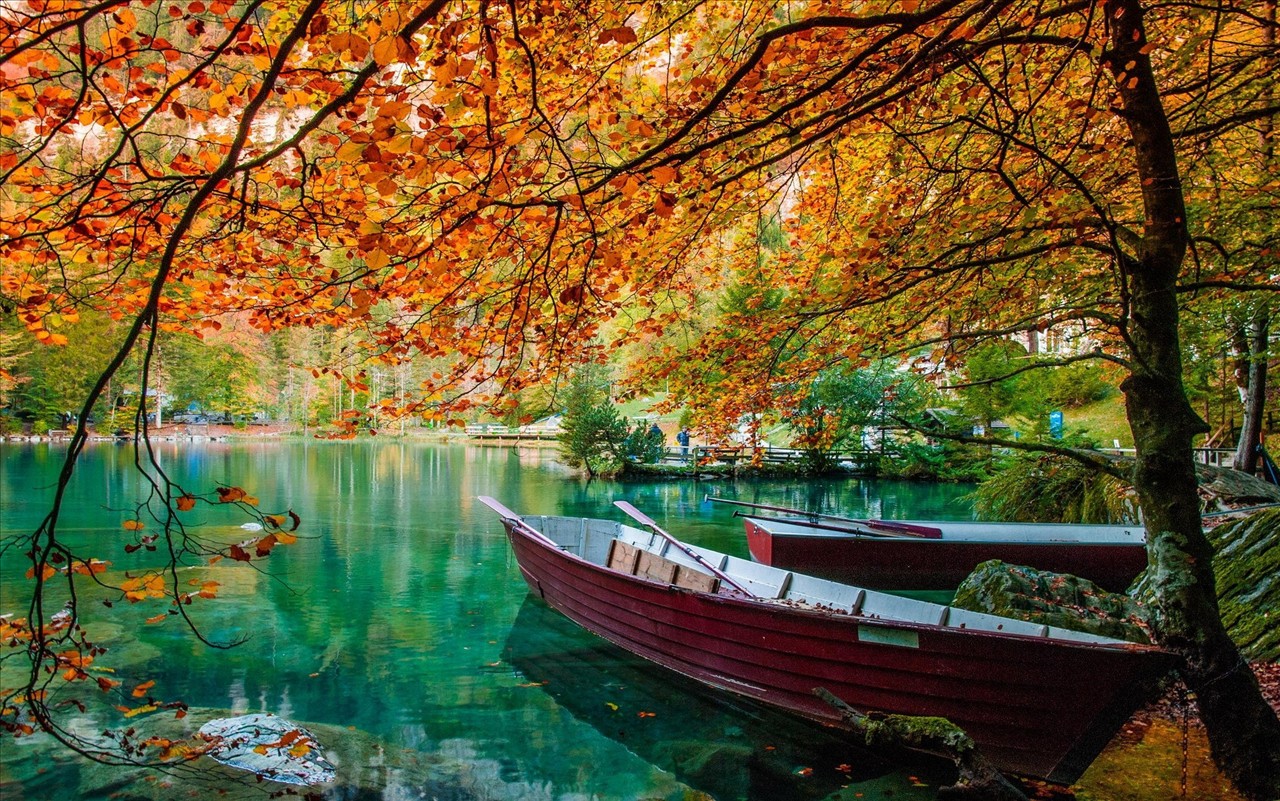 Solitude with nature - My Interests