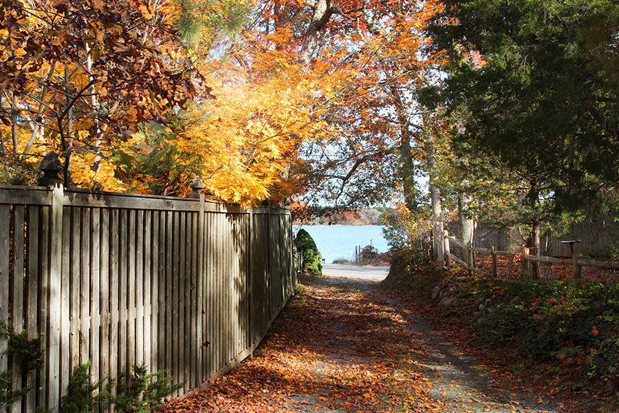 Magic of Fall on Cape Cod | Starfish