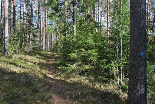 Aate-Pekan polku Parikkalassa